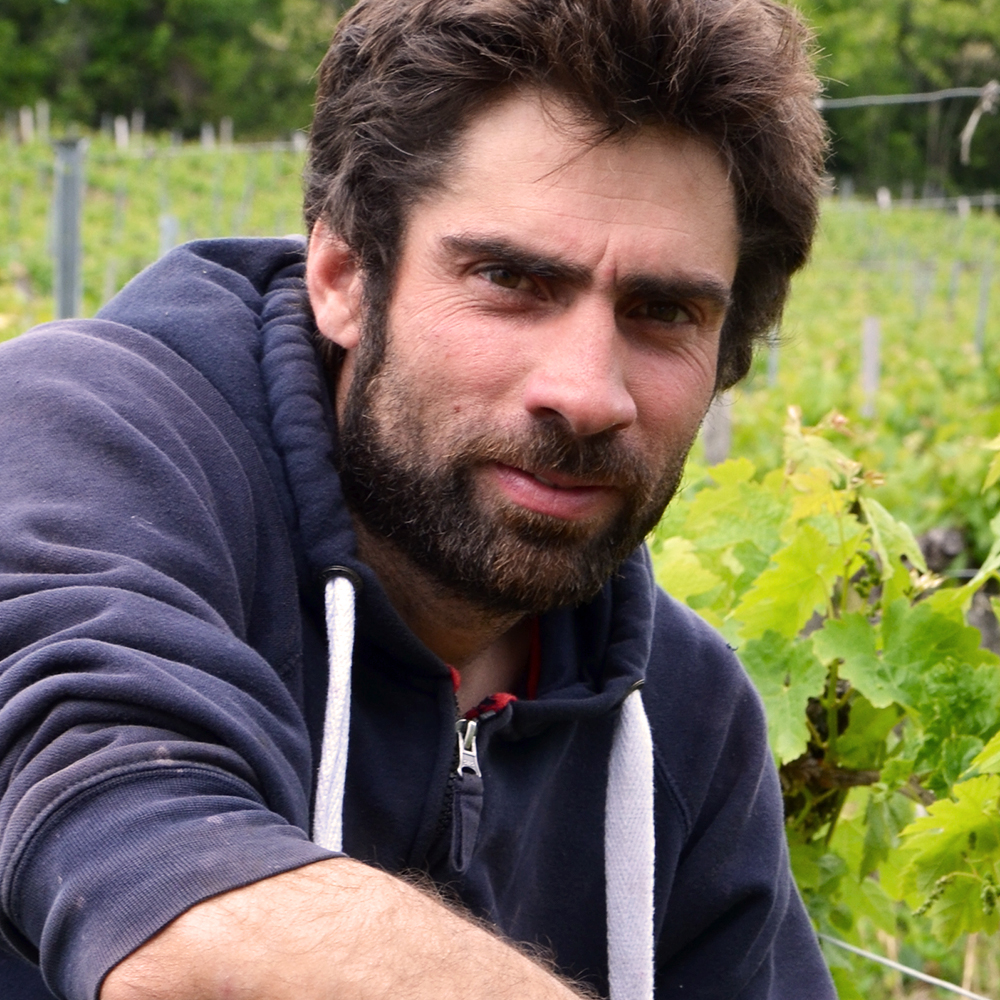 Grégory Balestre - Château Fleur Balestre